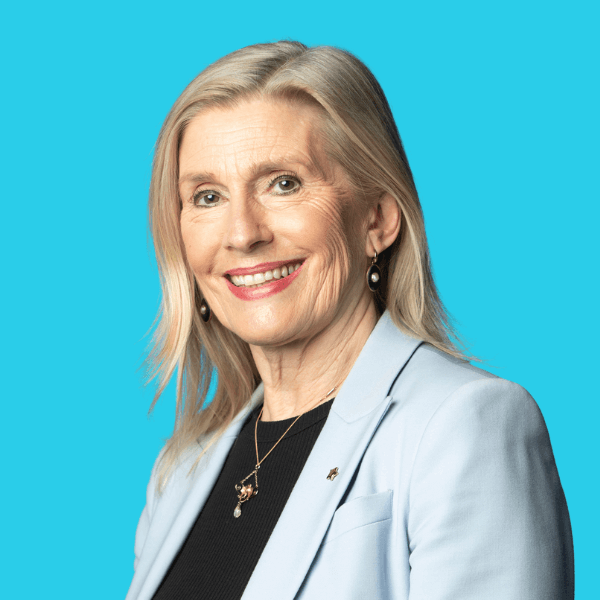 Six Fundamentals of Not for Profit Governance | Roundtable Series ...