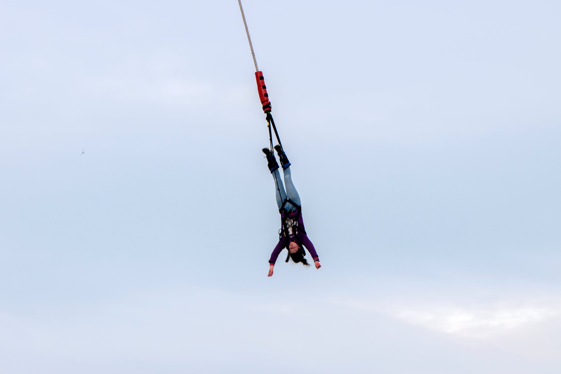 How a quorum applies to your board meeting | BoardPro